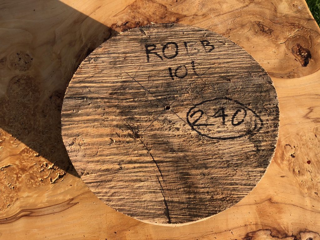 Red Oak Turning Blank 240mm Dia – Blaise in Trees